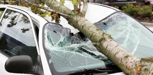Multas, parquímetros e reboques: como sobreviver ao estacionamento da ...