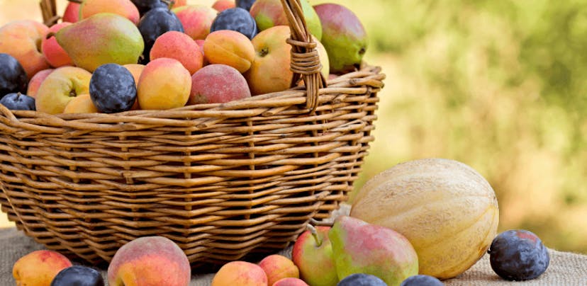 Calendário das frutas da época: Lista para cada mês do ano - Clinicas ...